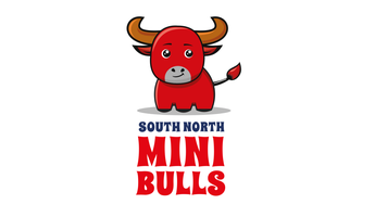 Welcome to South Northumberland Cricket Club | SNCC